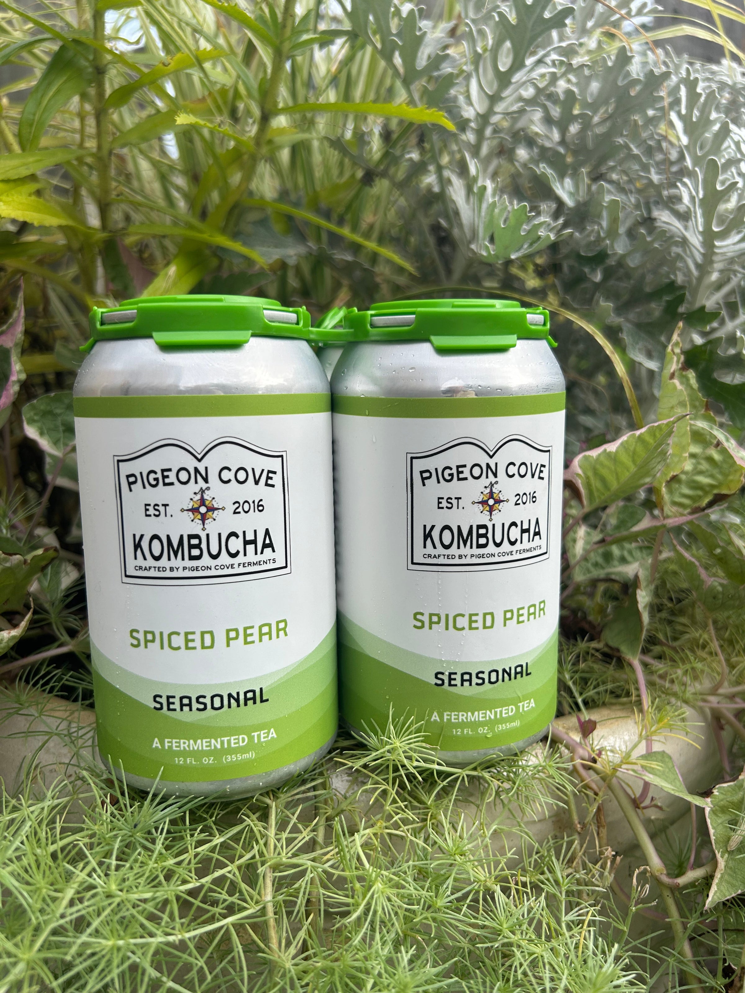 Kombucha | Pigeon Cove Ferments
